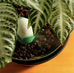 Flora Pod™ - Earth's Smartest Plant Monitor